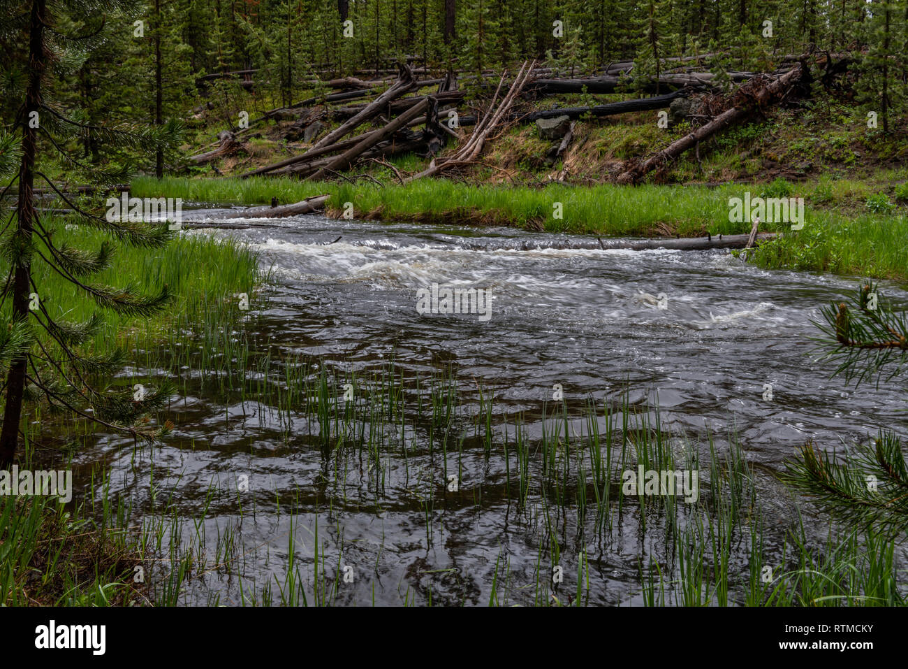 Gibbon River Waters Run High Through Yellowstone Wilderness Stock Photo ...