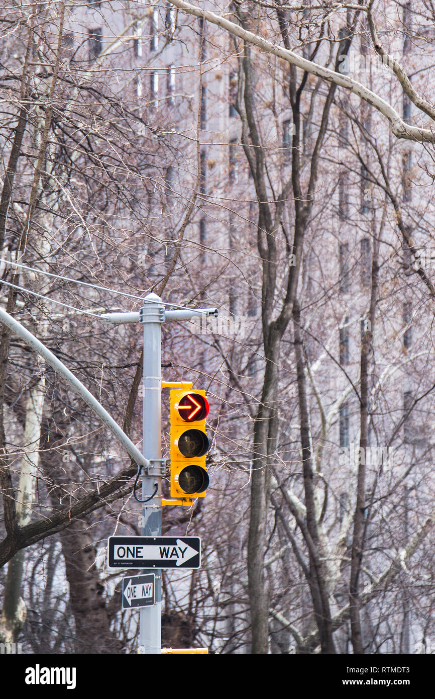 Traffic light with red arrow and one way sign with trees in the ...