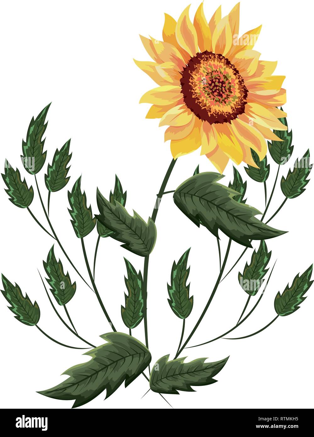 Spring flowers with leaves Stock Vector Image & Art - Alamy
