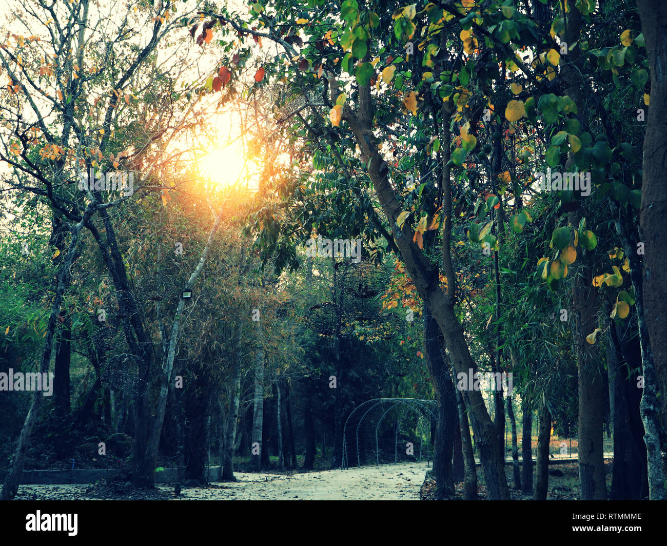 Sunsets over the park and walkway Stock Photo - Alamy