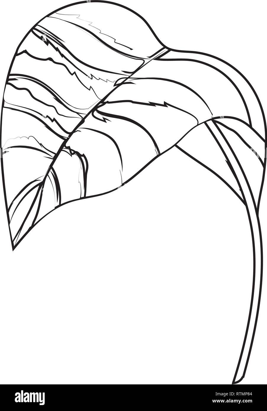 Leaf nature drawing Stock Vector Image & Art - Alamy