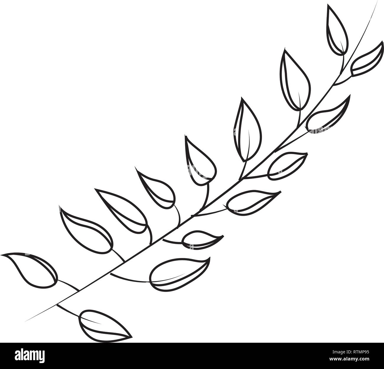 leaves bouquet nature drawing Stock Vector Image & Art - Alamy