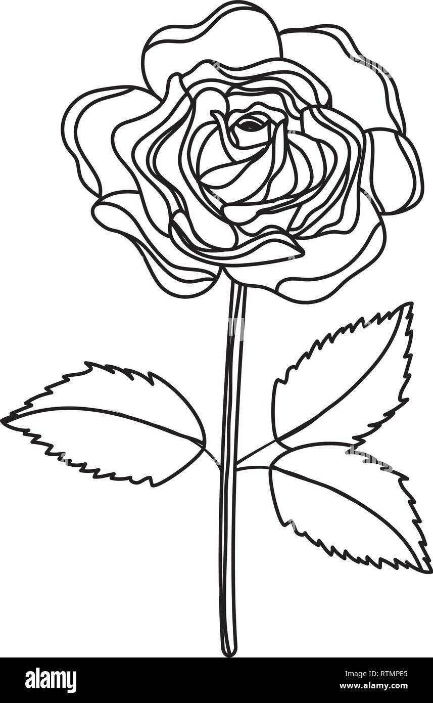 Flower with leaves drawing Stock Vector Image & Art - Alamy