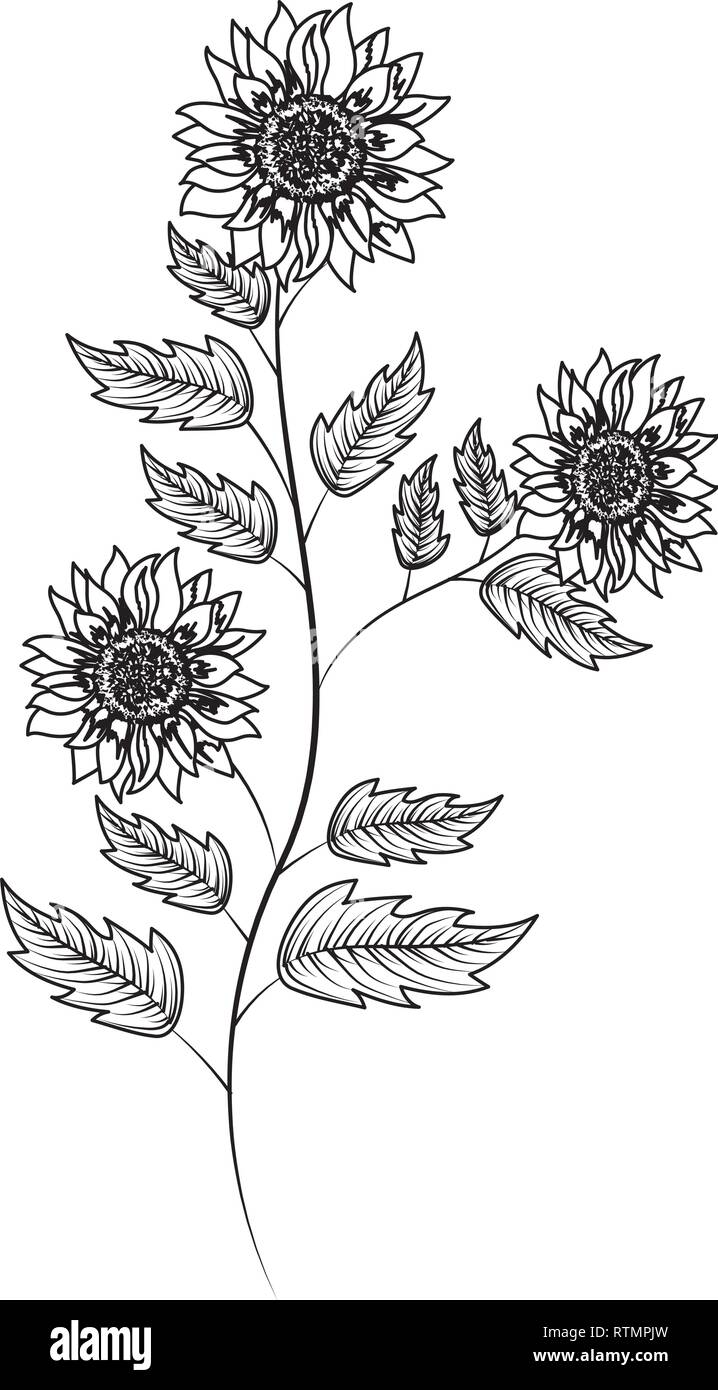 Flower with leaves drawing Stock Vector Image & Art - Alamy