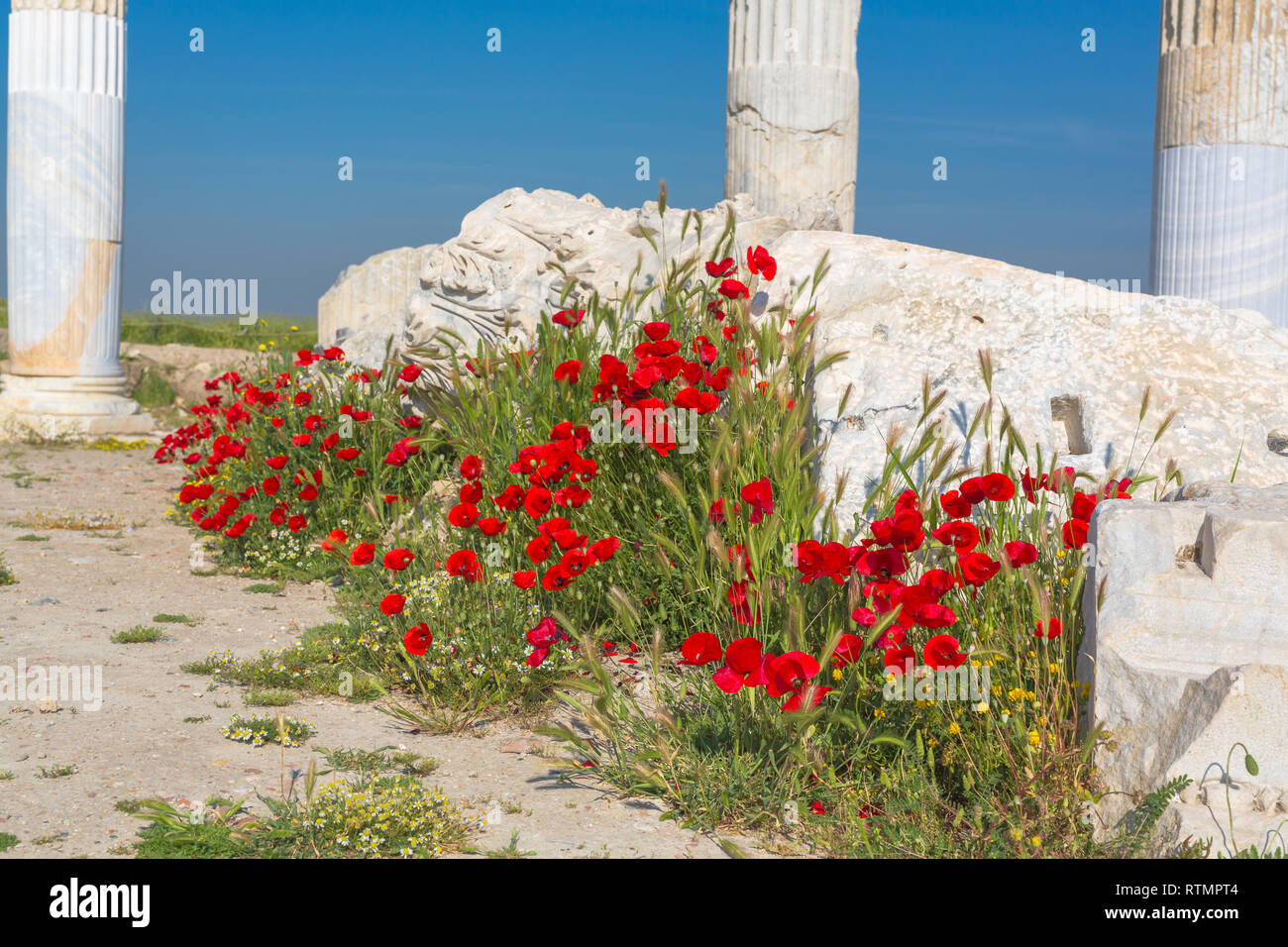Ruins of ancient Laodicea on the Lycus, Denizli Province, Turkey Stock ...