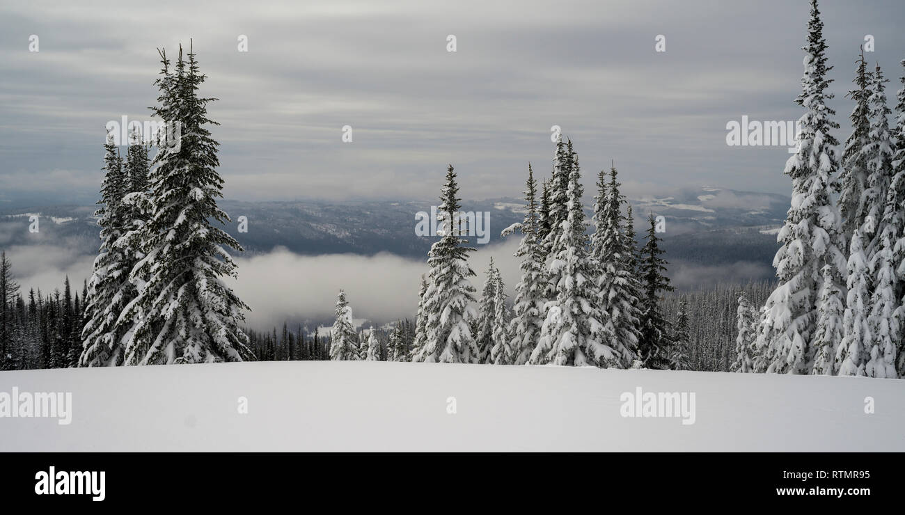 Snow covered trees, Thompson-Nicola Regional District, Sun Peaks Resort ...