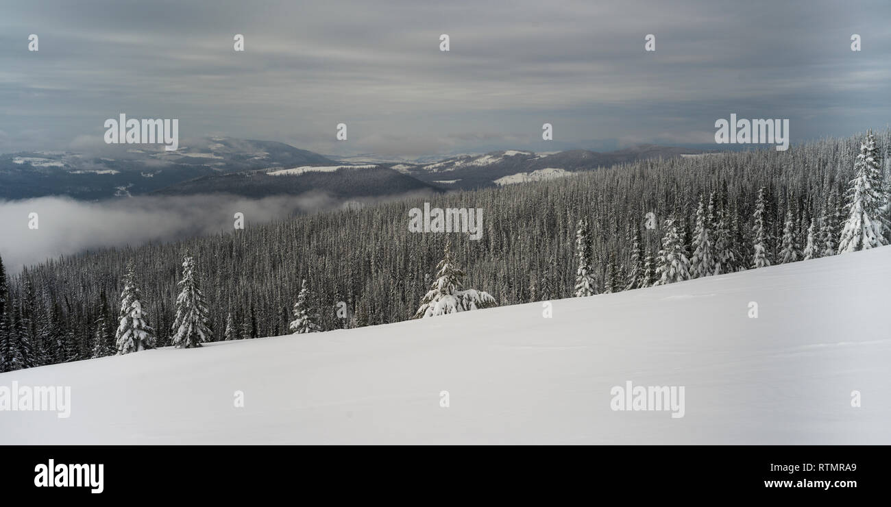 Snow covered trees, Thompson-Nicola Regional District, Sun Peaks Resort ...