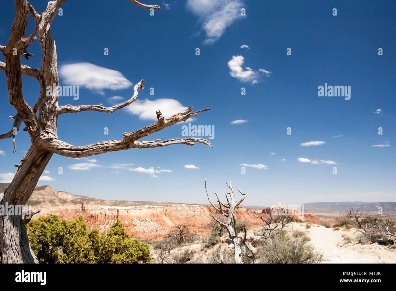 Chimney Rock Trail at Ghost Ranch in Abiquiu, New Mexico Stock Photo ...