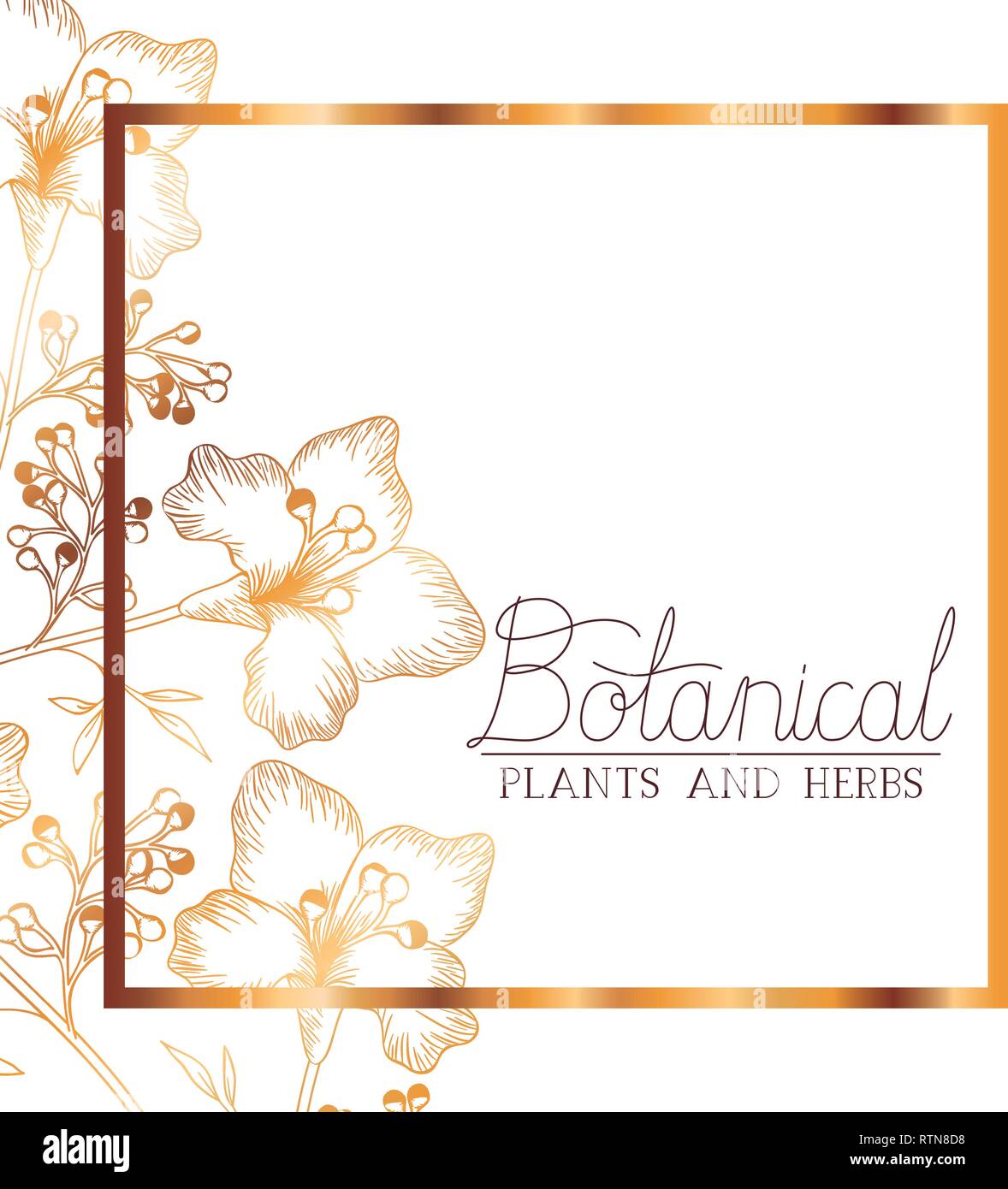 botanical label with plants and herbs Stock Vector Image & Art - Alamy