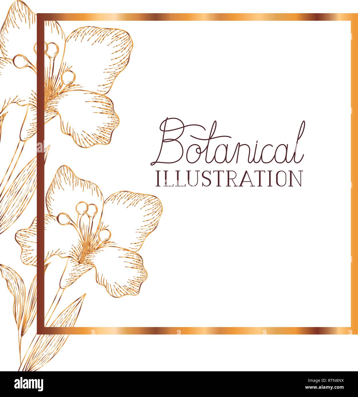 botanical illustration label with plants Stock Vector Image & Art - Alamy