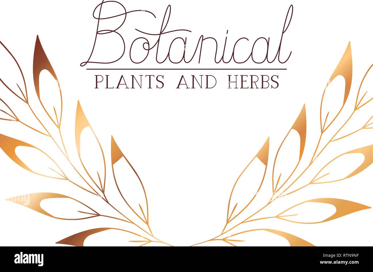 botanical label with plants and herbs Stock Vector Image & Art - Alamy