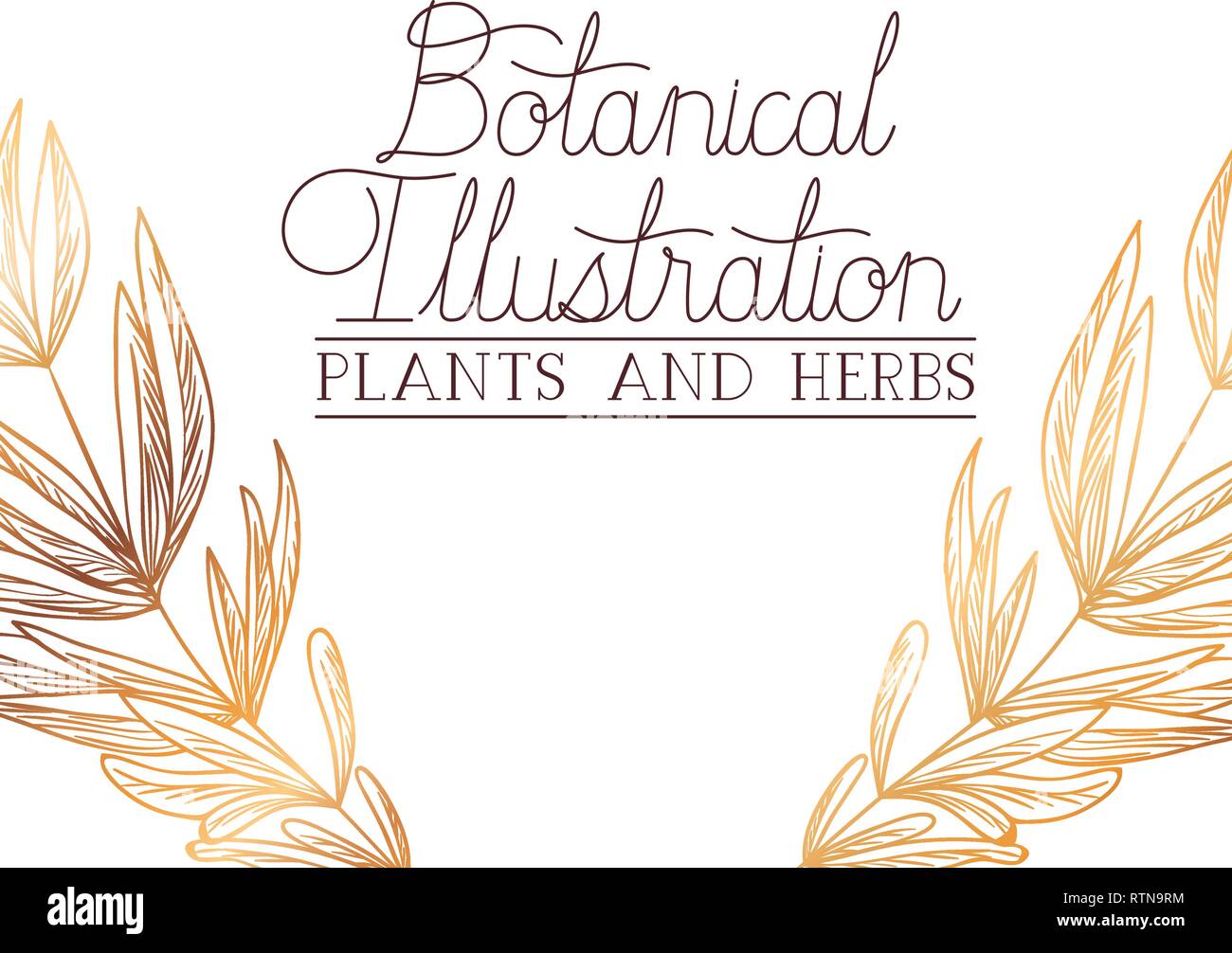 botanical illustration label with plants and herbs Stock Vector Image ...