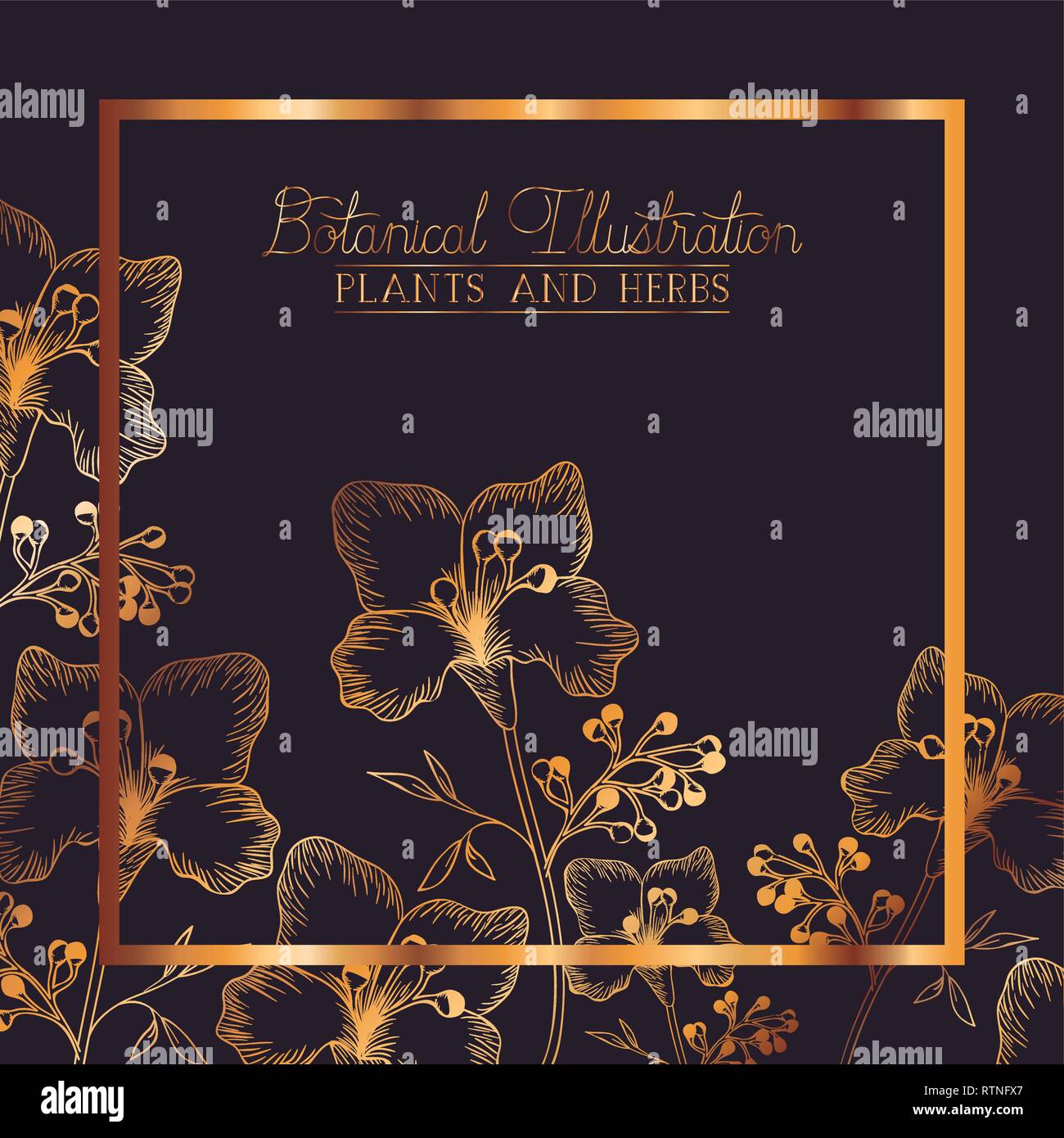 botanical illustration label with plants and herbs Stock Vector Image ...