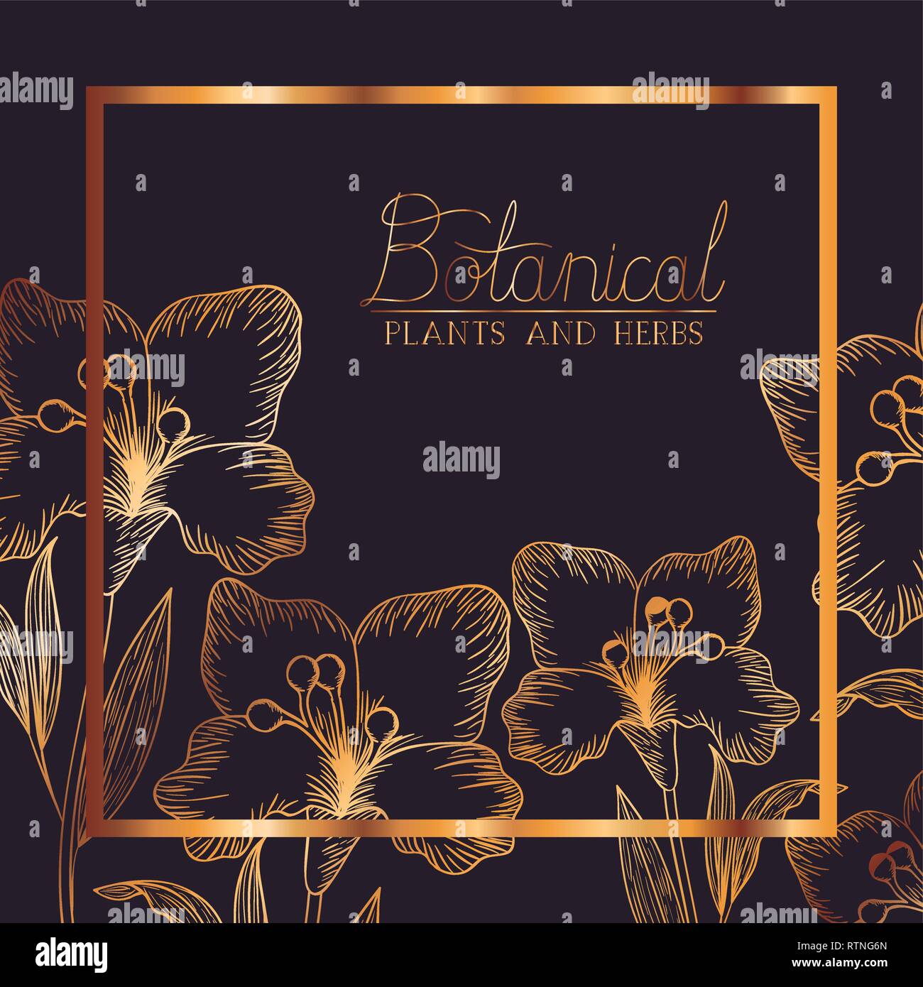 botanical label with plants and herbs Stock Vector Image & Art - Alamy