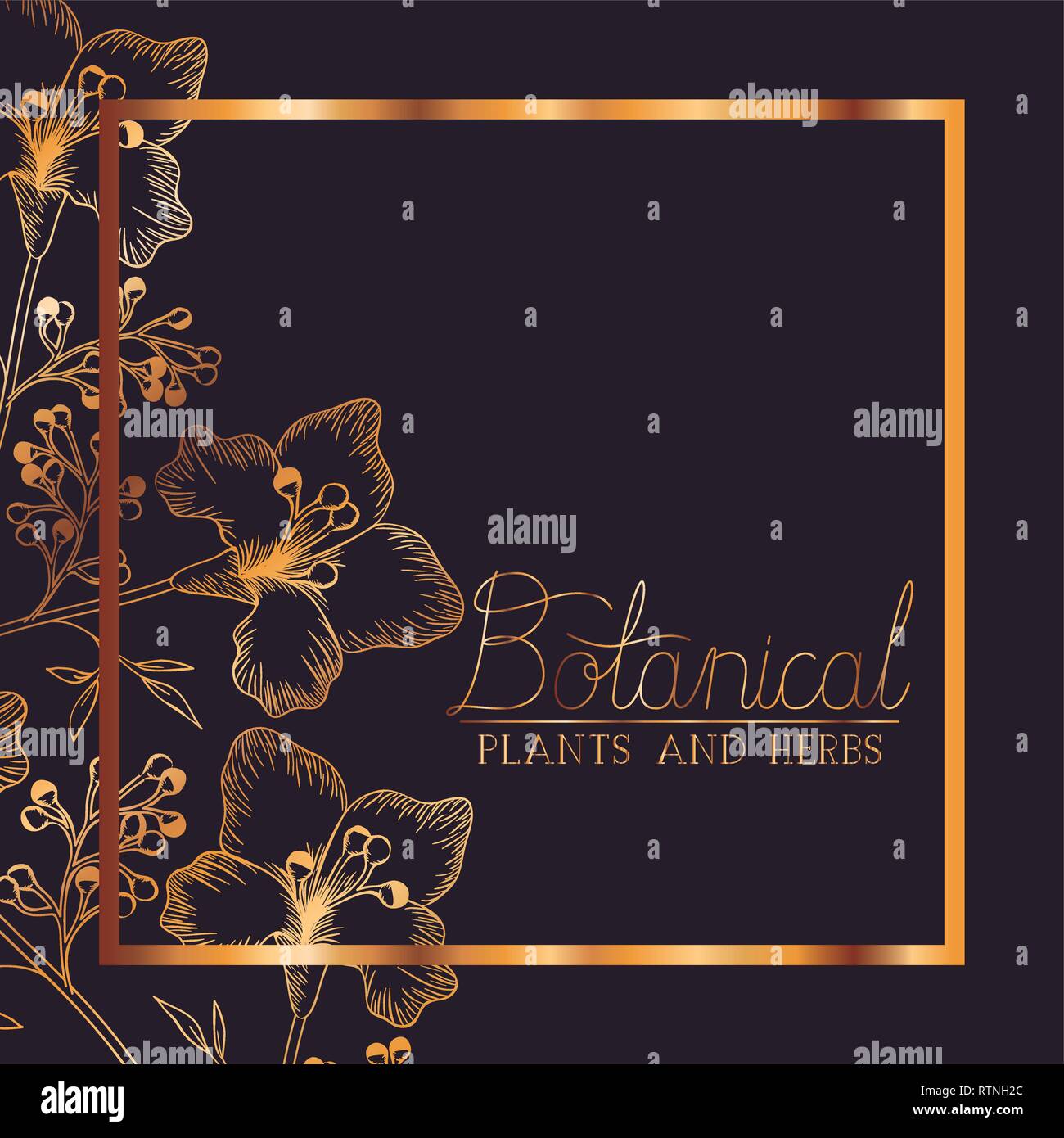 botanical label with plants and herbs Stock Vector Image & Art - Alamy