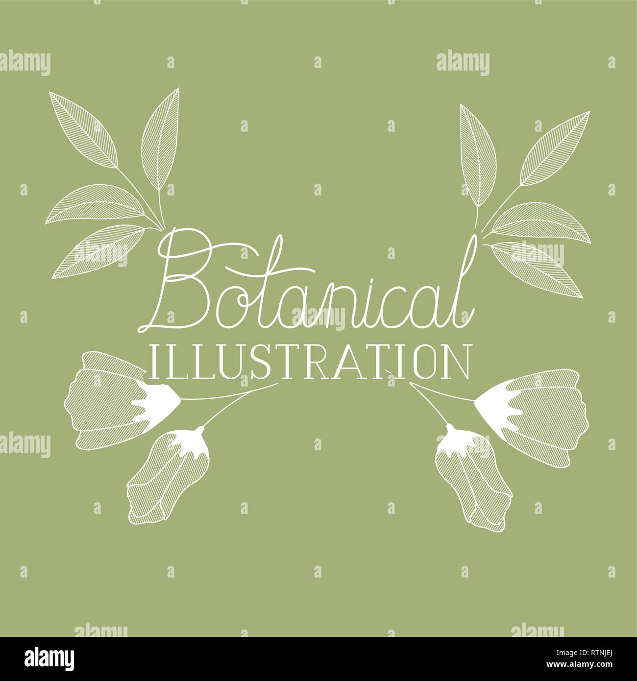 botanical illustration label with plants Stock Vector Image & Art - Alamy