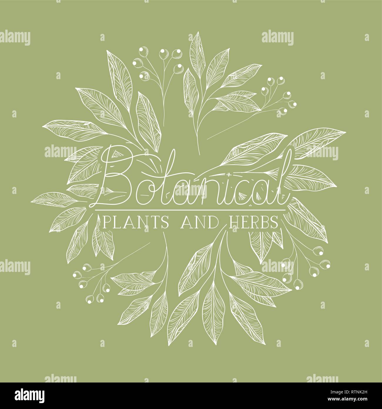 botanical label with plants and herbs Stock Vector Image & Art - Alamy