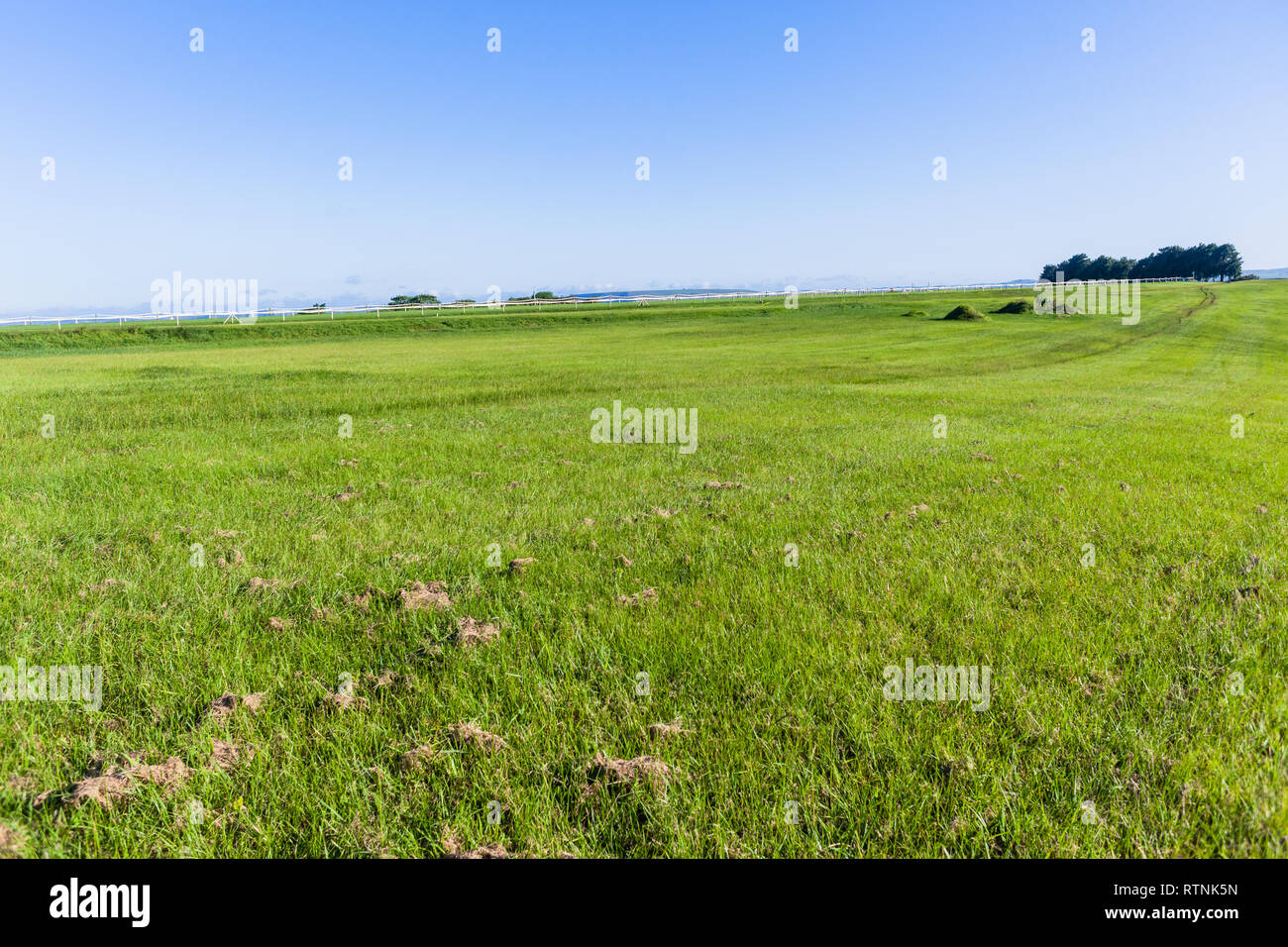 Green grass hillside with distant horse race track railing fence on ...