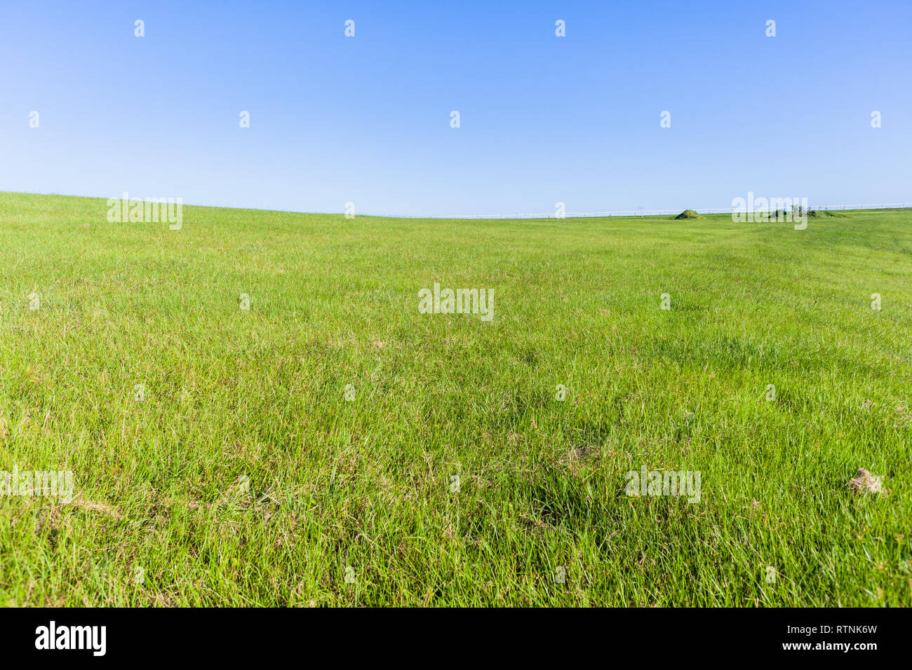 Green grass hillside with distant railing fence on horizon blue sky ...