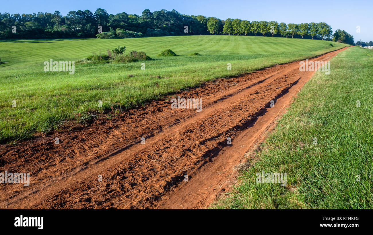 Green grass hillside with dirt road track towards distant trees a ...