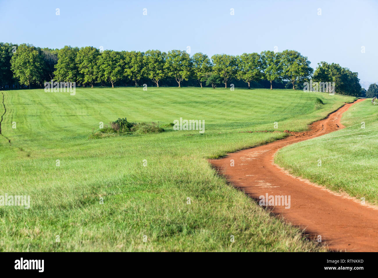 Green grass hillside with dirt road track towards distant trees a ...