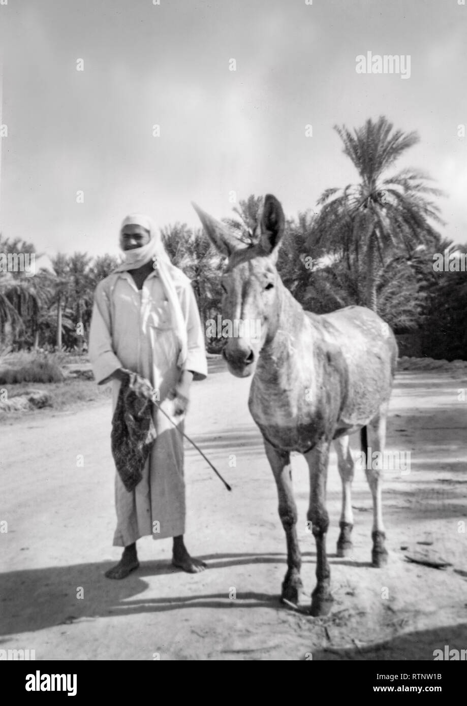 Historical images of a bedouin man and his donkey in a large oasis in ...