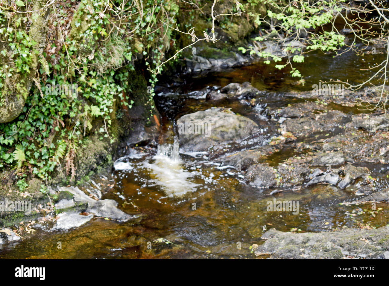 A flowing stream Stock Photo - Alamy