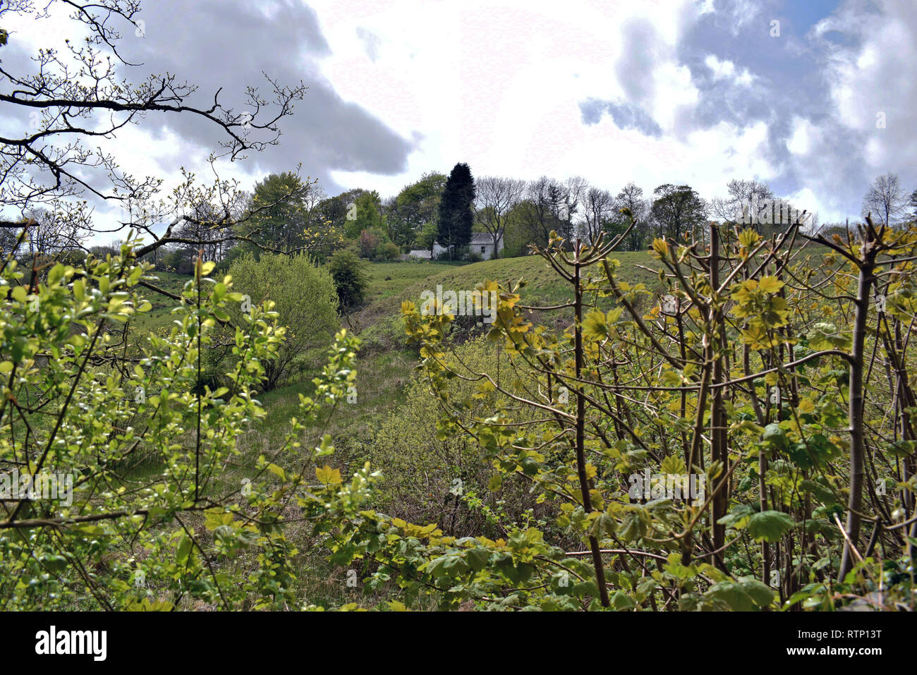 Beautiful view across the Welsh countryside with lush green trees ...