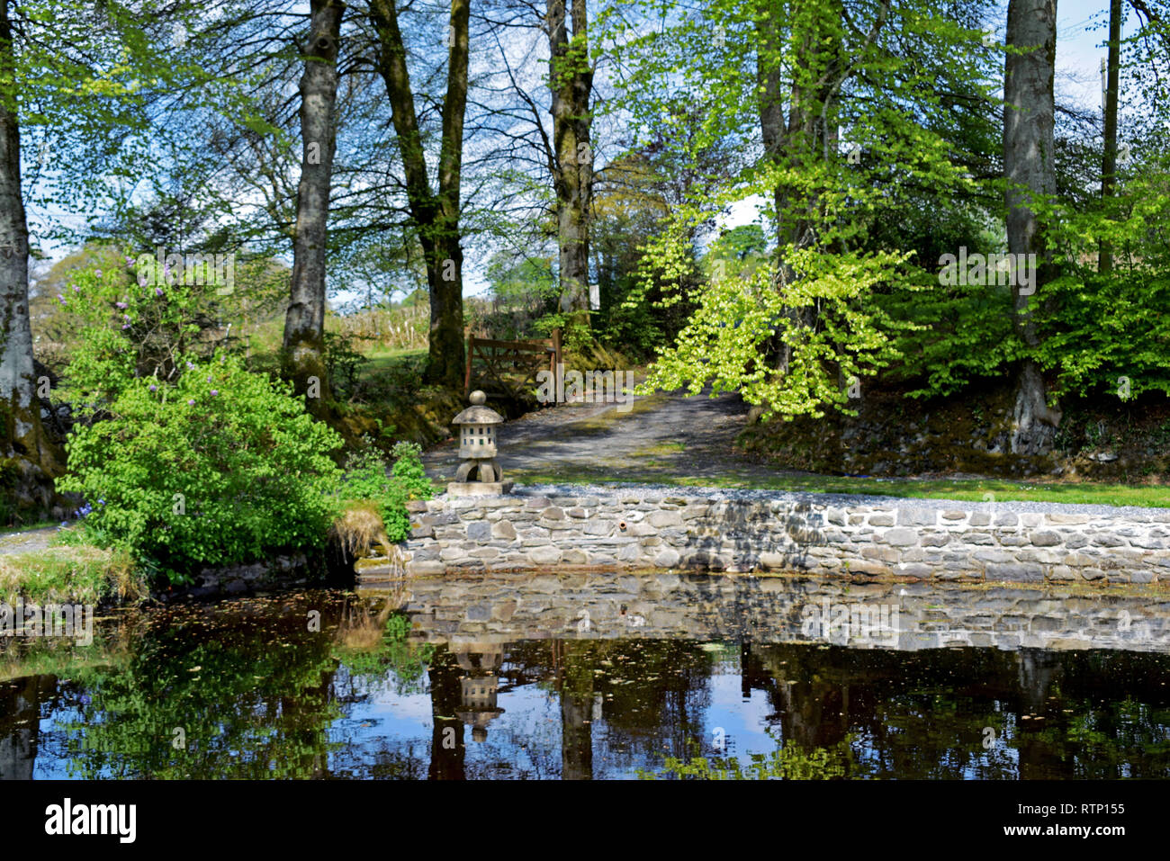 Pond surrounded by trees hi-res stock photography and images - Alamy