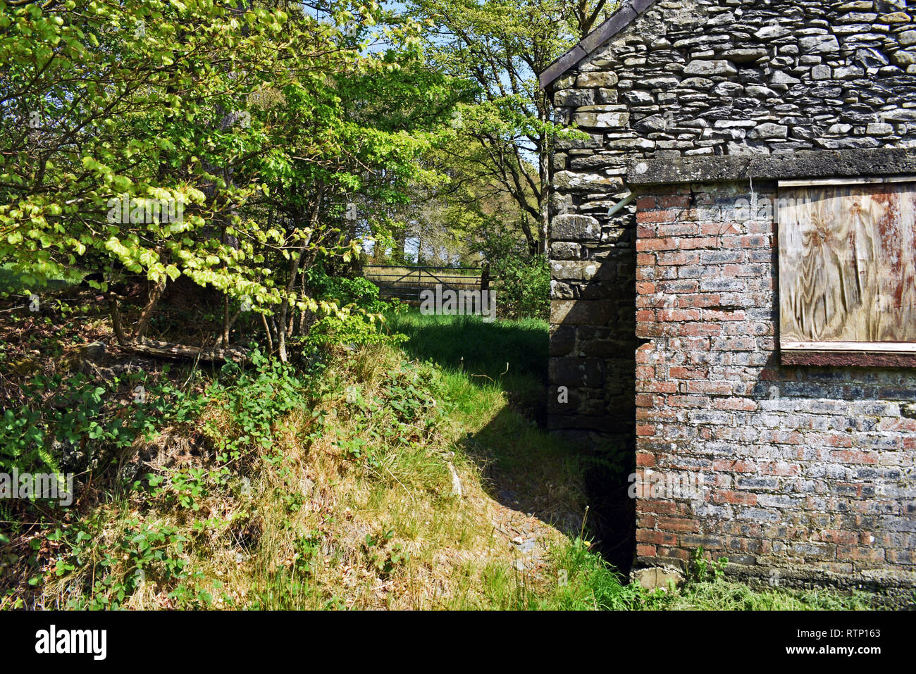 some farm buildings with green grass and trees that have formed a arch ...