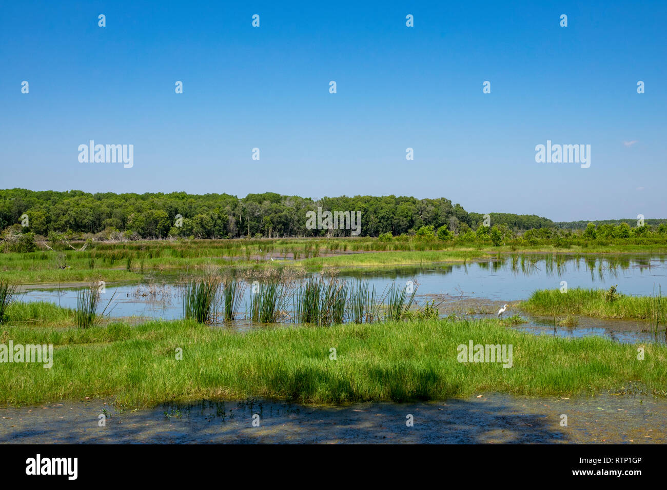 Sunny Day at Fogg Dam, Northern Territory, Australia Stock Photo - Alamy