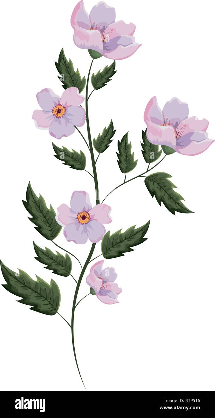 Beautiful flower drawing Stock Vector Image & Art - Alamy