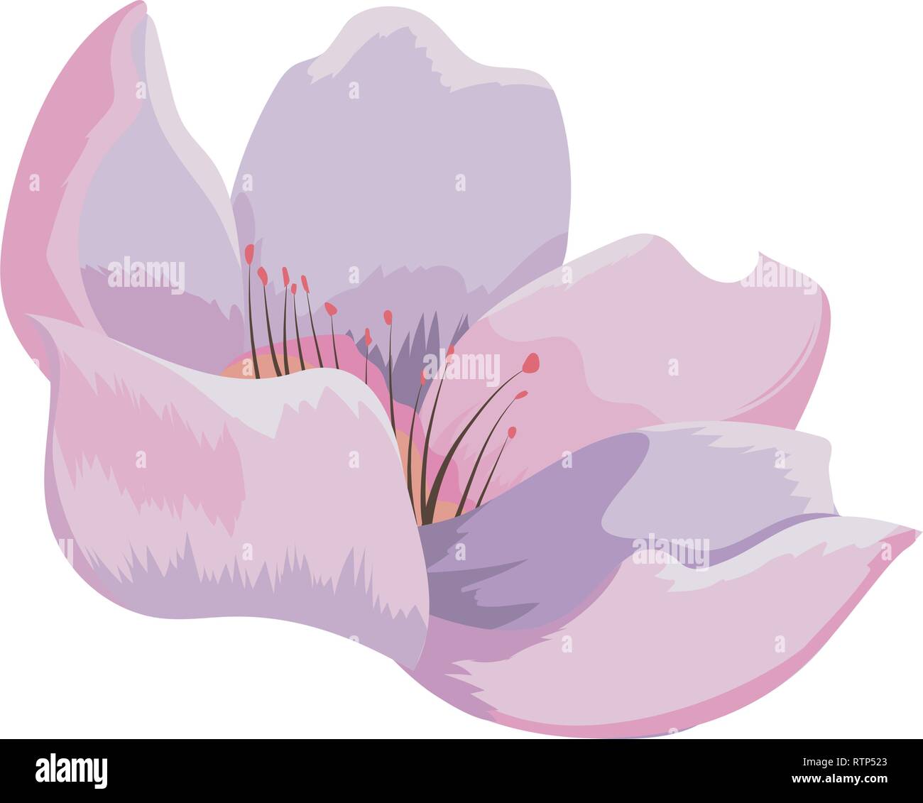 Beautiful flower drawing Stock Vector Image & Art - Alamy