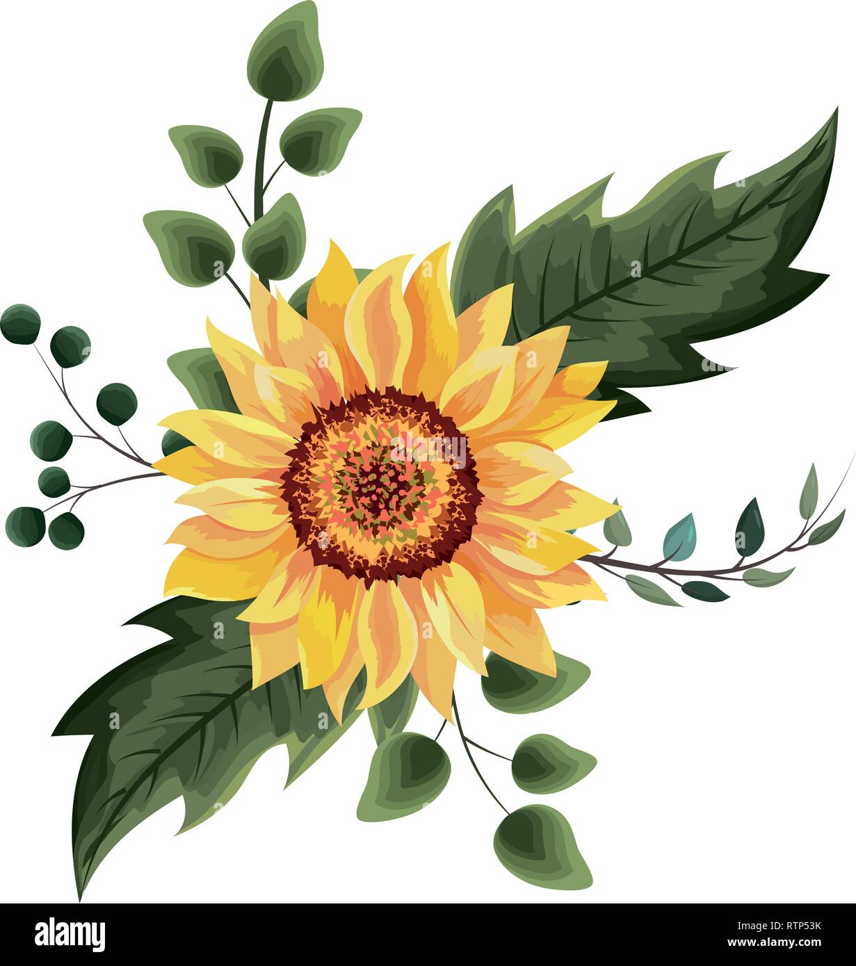 Sunflower drawing hi-res stock photography and images - Alamy