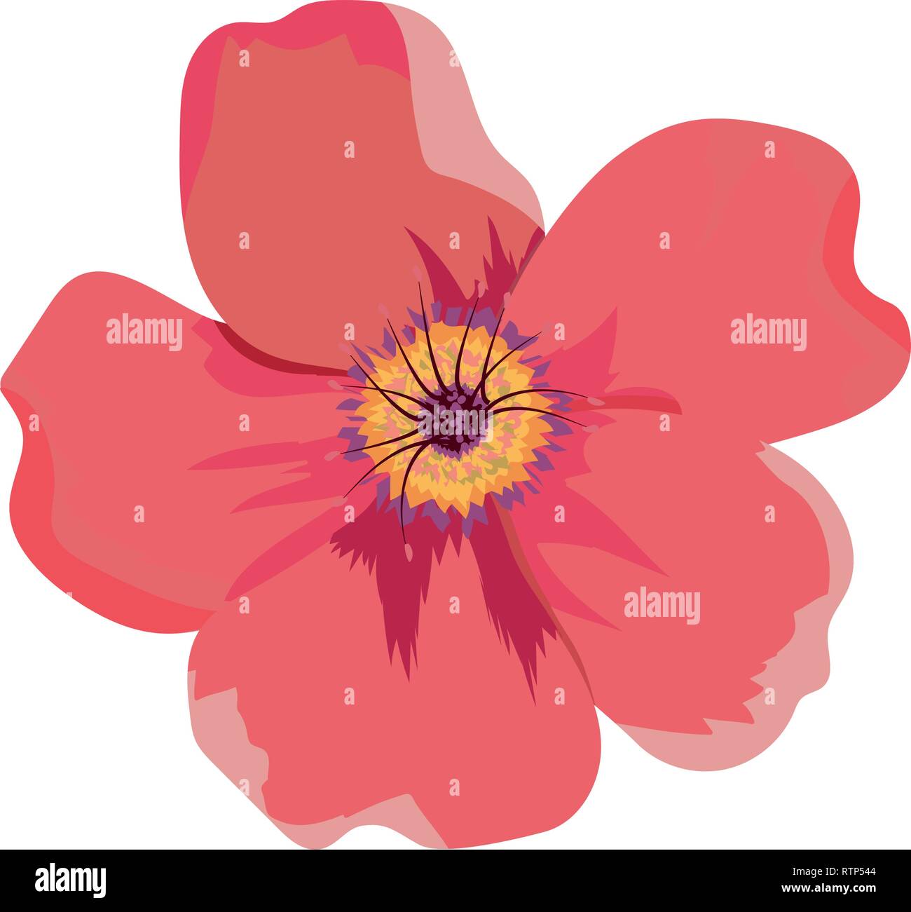 Beautiful flower drawing Stock Vector Image & Art - Alamy