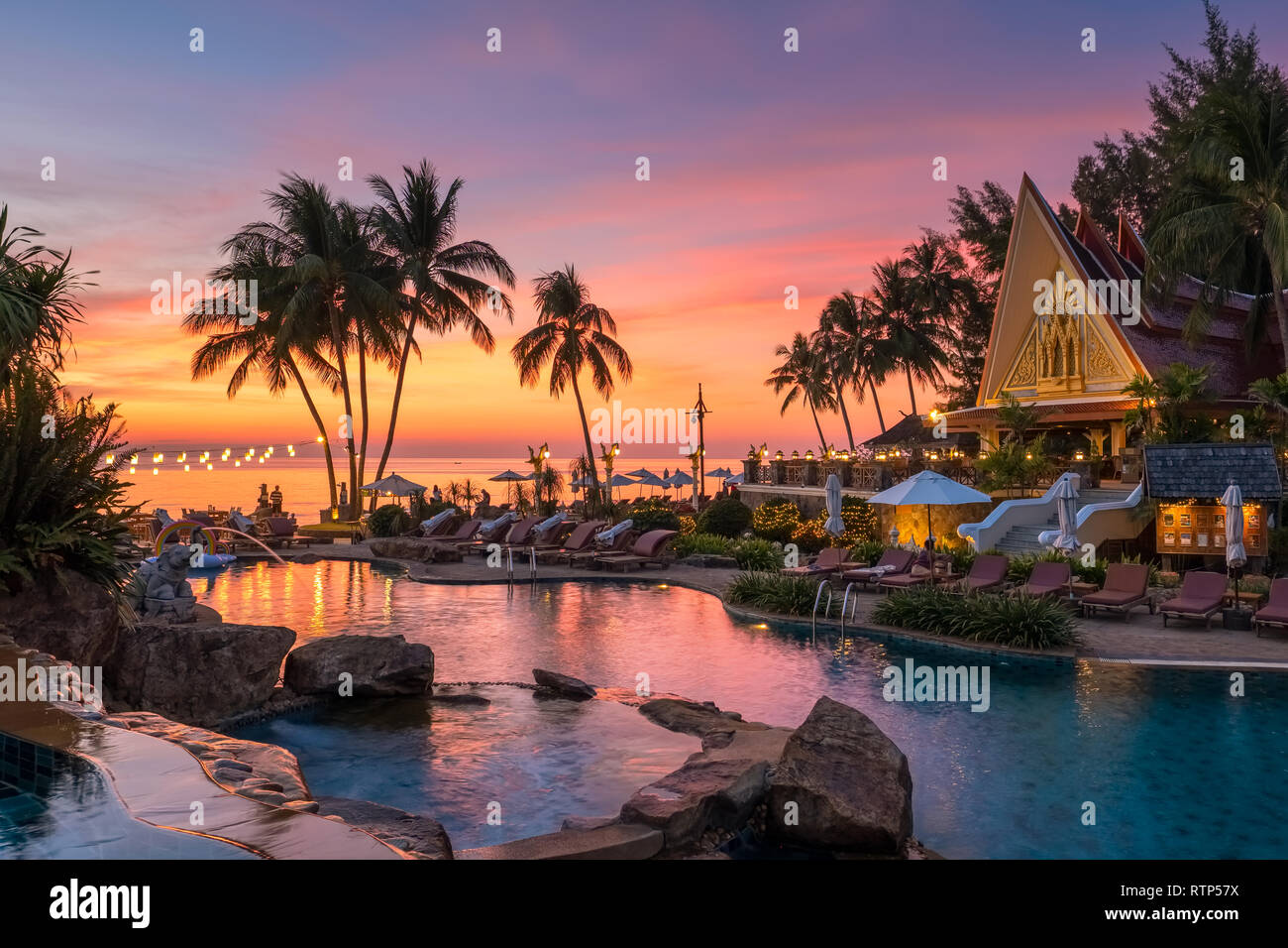 Palm Trees Reflecting Pool