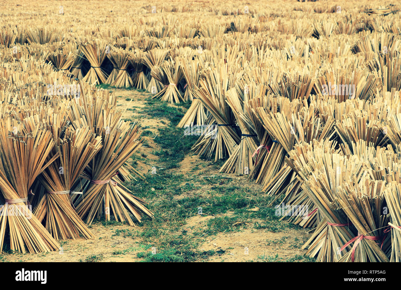 Sliced Bamboo High Resolution Stock Photography and Images - Alamy