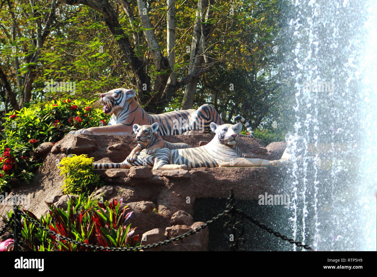 Tiger spray hi-res stock photography and images - Alamy