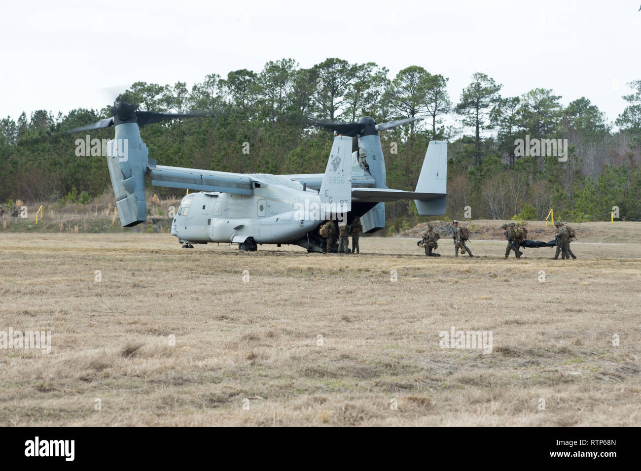 Casevac drill hi-res stock photography and images - Alamy
