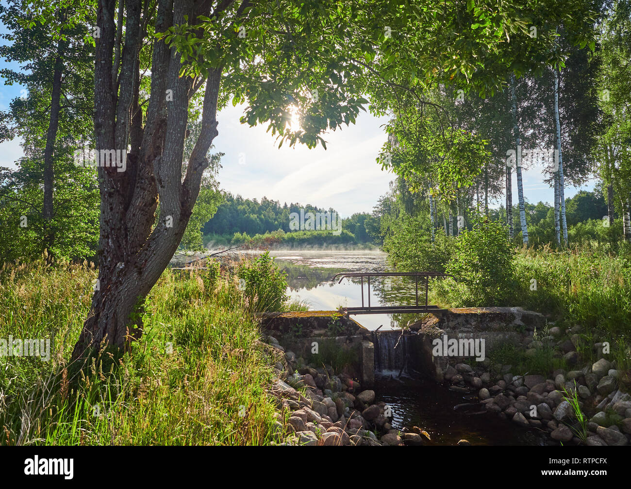 Among bushes hi-res stock photography and images - Alamy