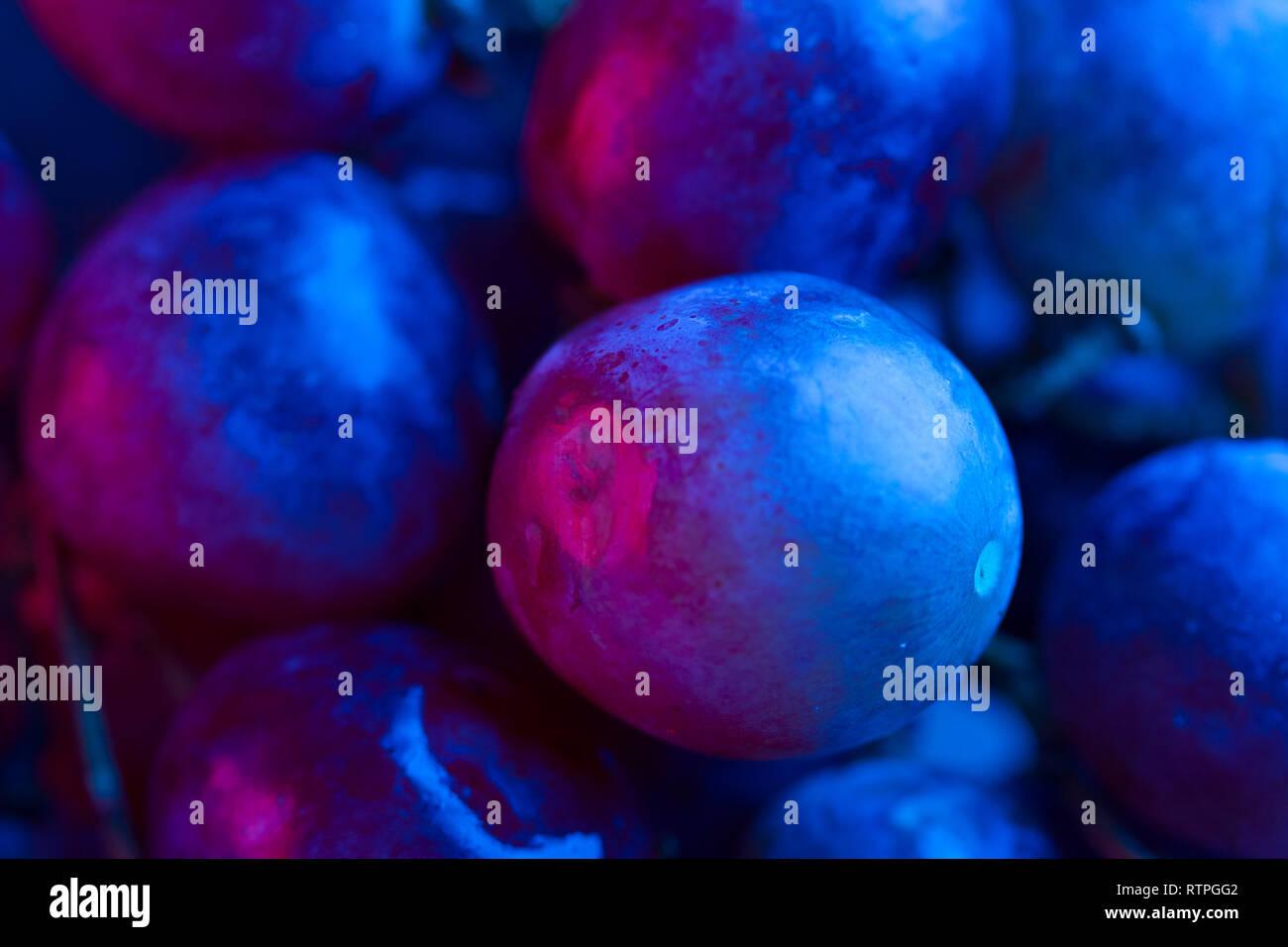 grape close up in neon red and blue light Stock Photo - Alamy