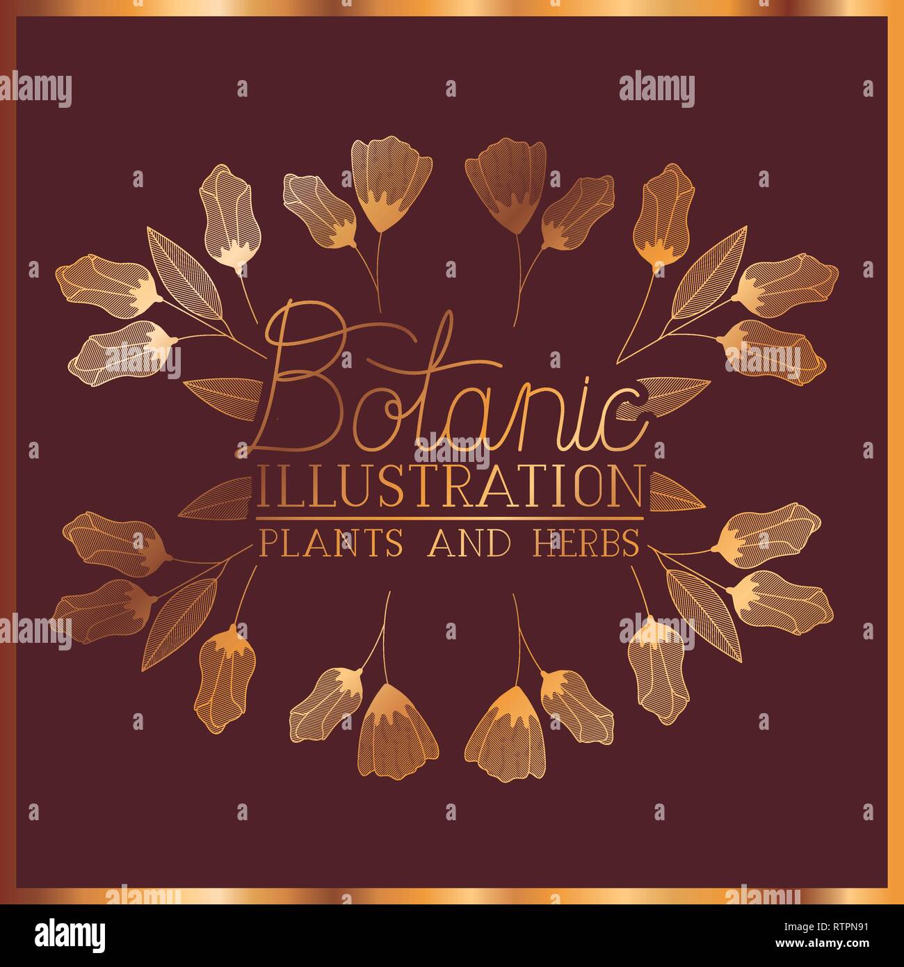 botanic illustration label with plants and herbs Stock Vector Image ...