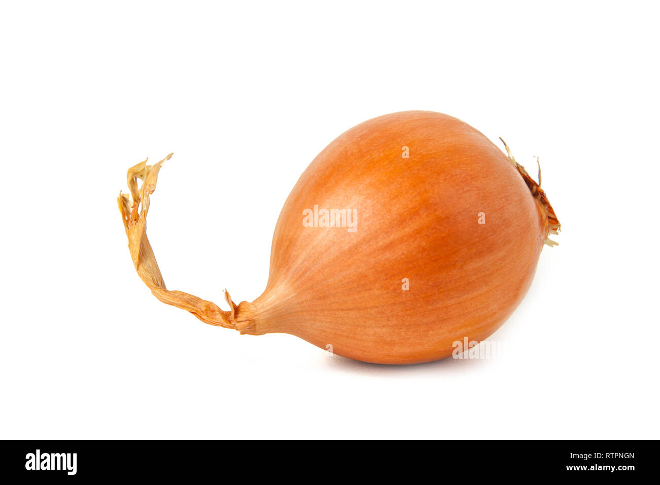 Onion isolated in white Stock Photo - Alamy