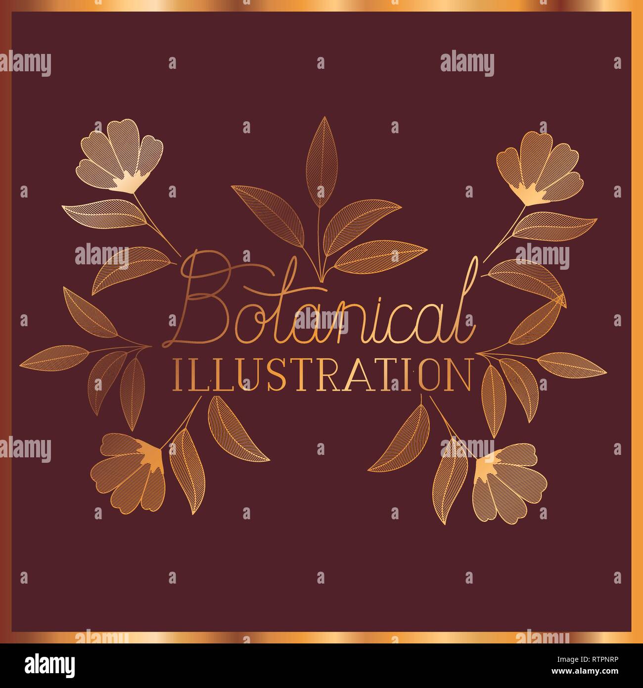 botanical illustration label with plants Stock Vector Image & Art - Alamy