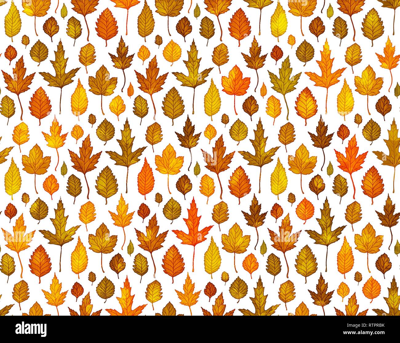 Autumn leaves seamless pattern background vector Stock Vector Image ...