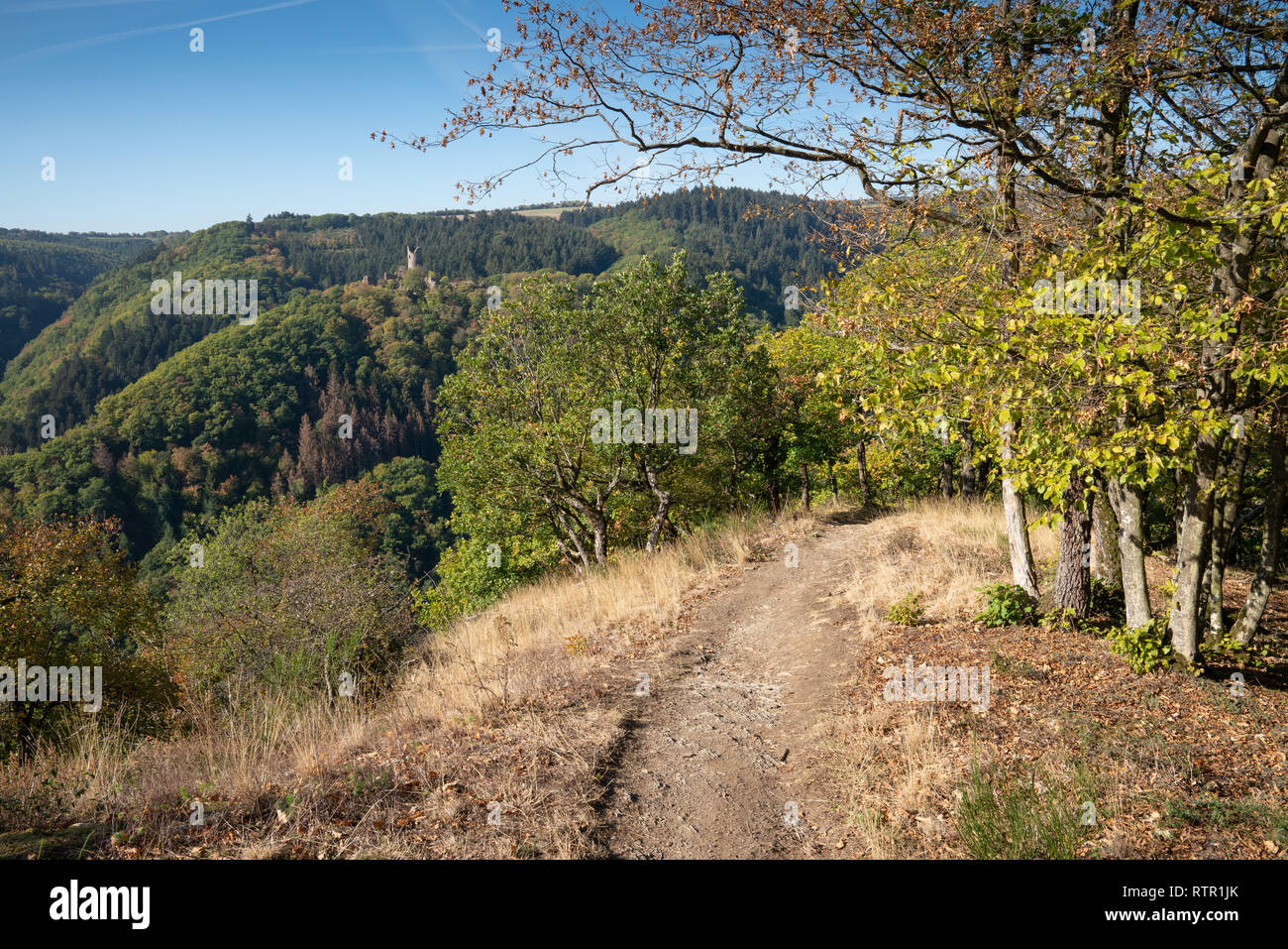 Hiking trail close to Cochem, Germany Stock Photo - Alamy