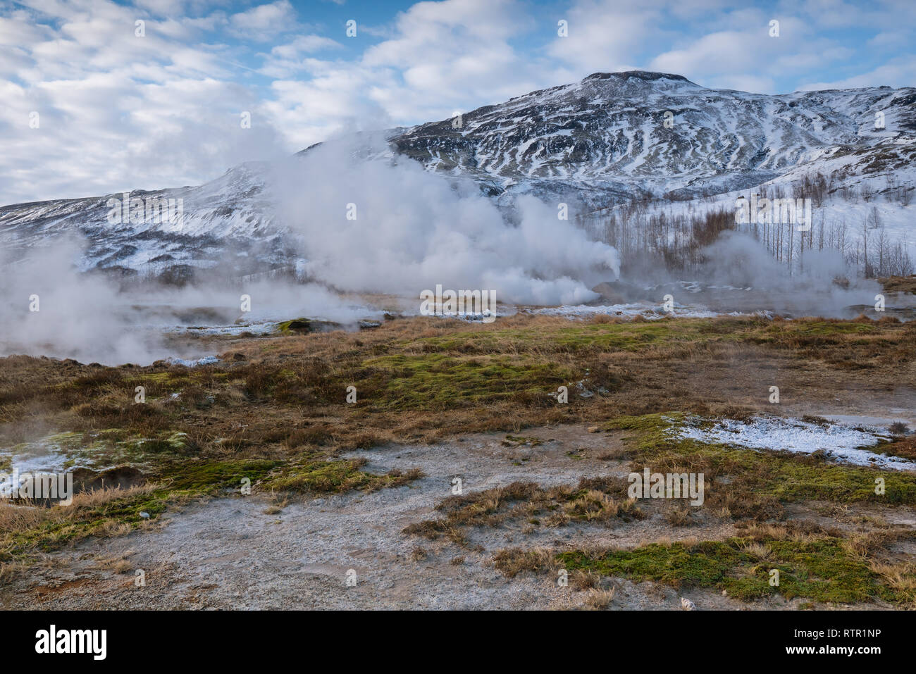 Geothermal area Haukadalur, Iceland, Europe Stock Photo - Alamy