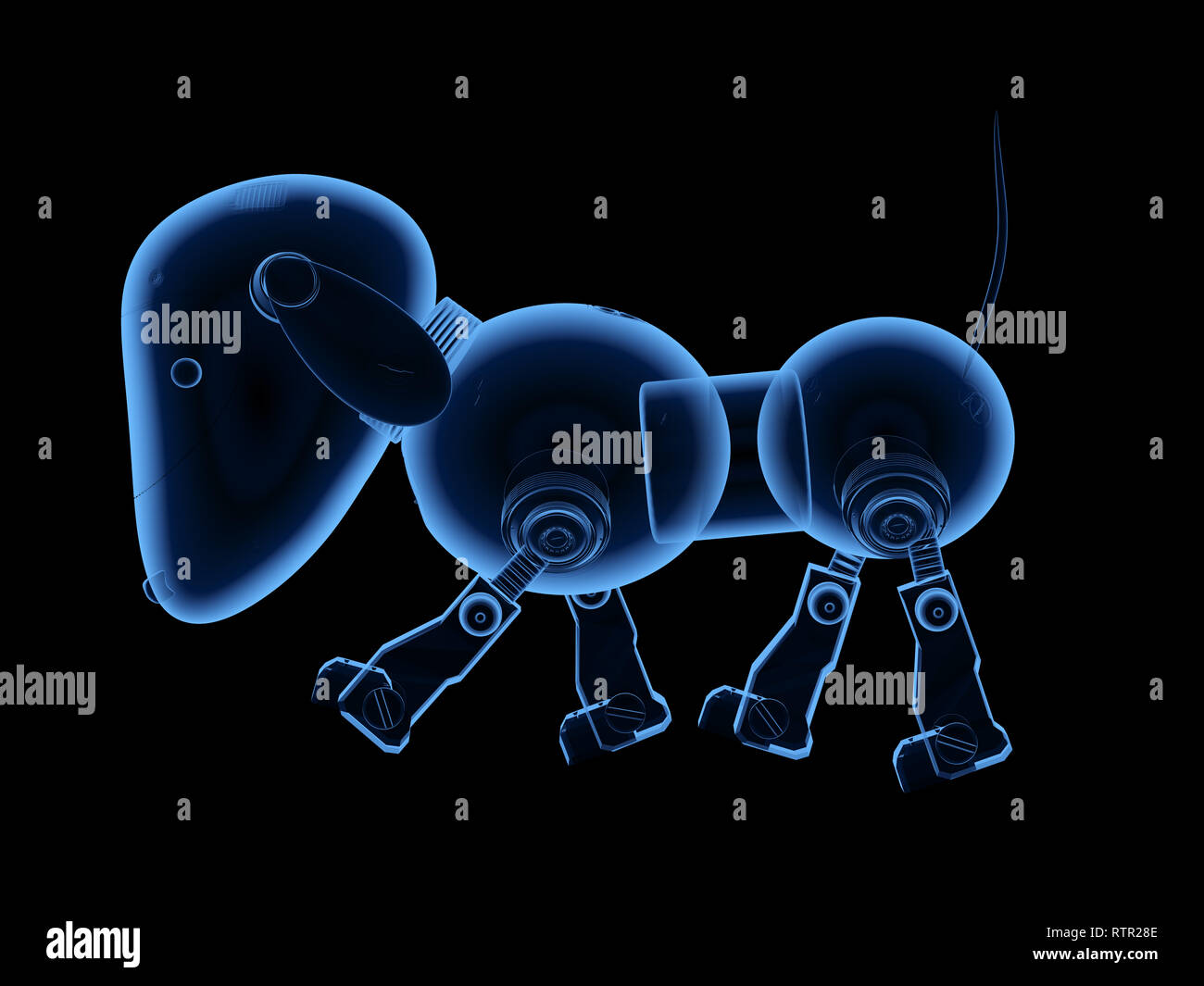X ray dog hi-res stock photography and images - Alamy