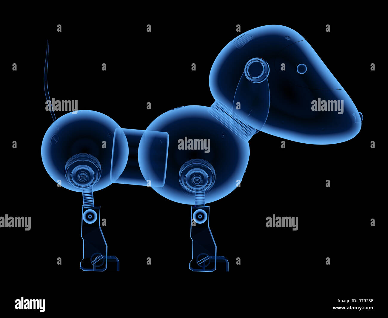 X ray dog hi-res stock photography and images - Alamy