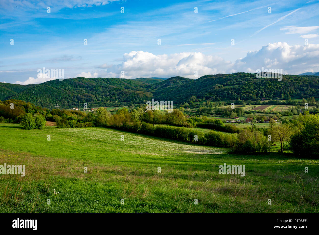 Wheat field, Serbia Krepoljin landscape of agricultural grain crops and ...